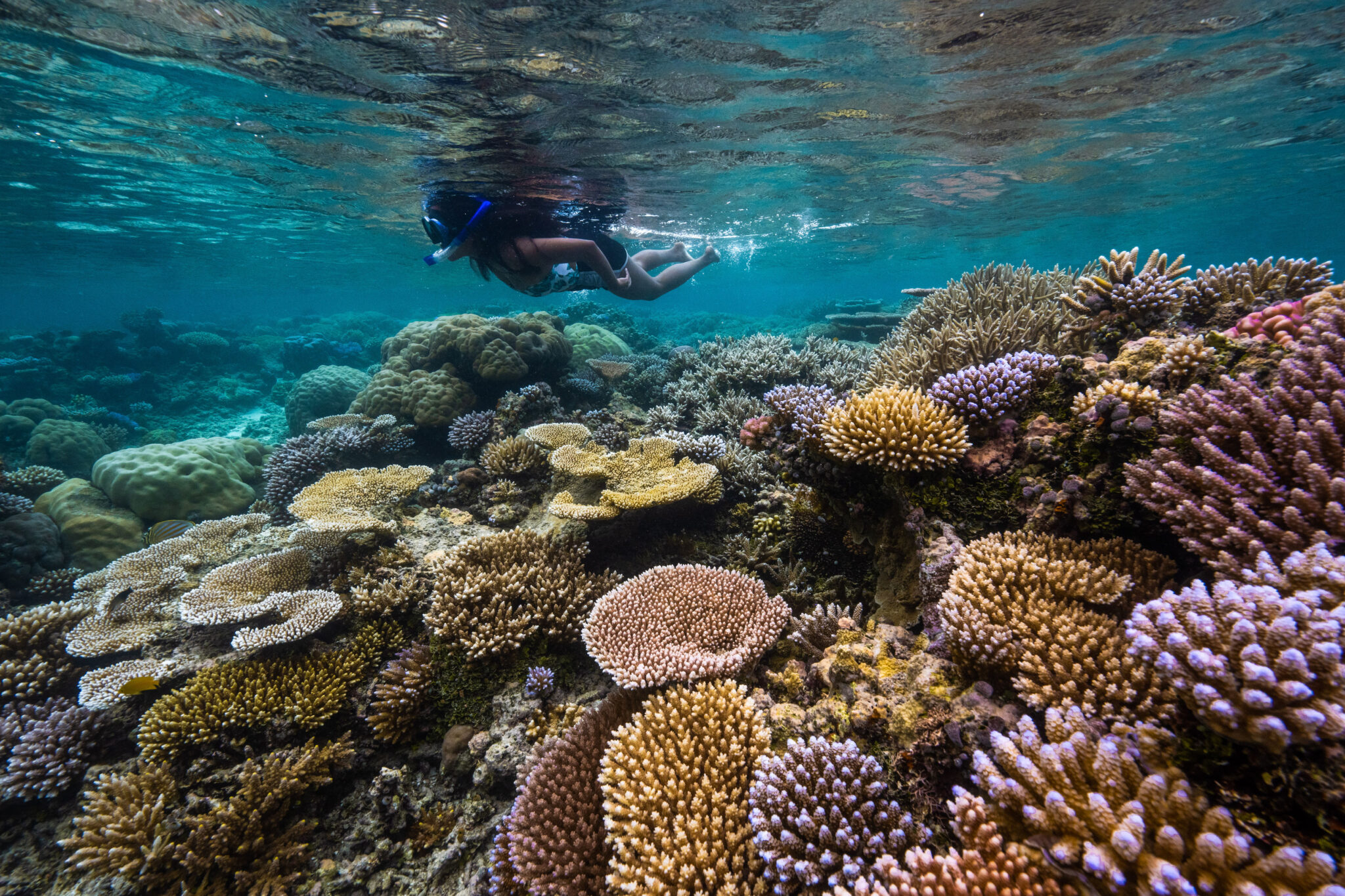 7 Days in Palau Travel Itinerary