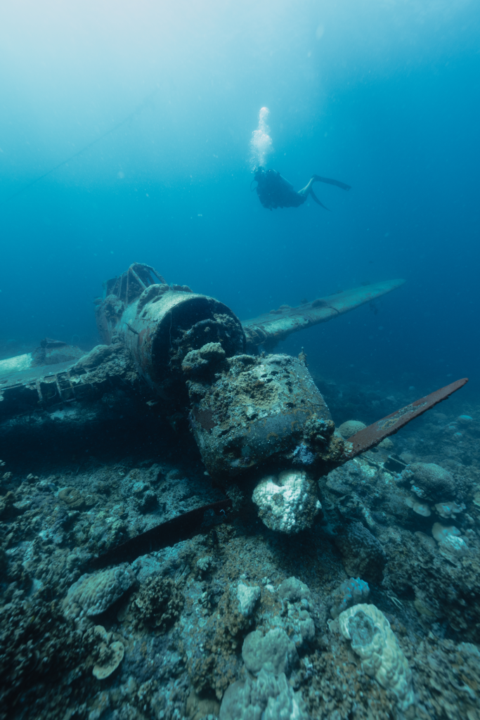 Dive Palau: Explore Underwater Wonders in Pristine Paradise