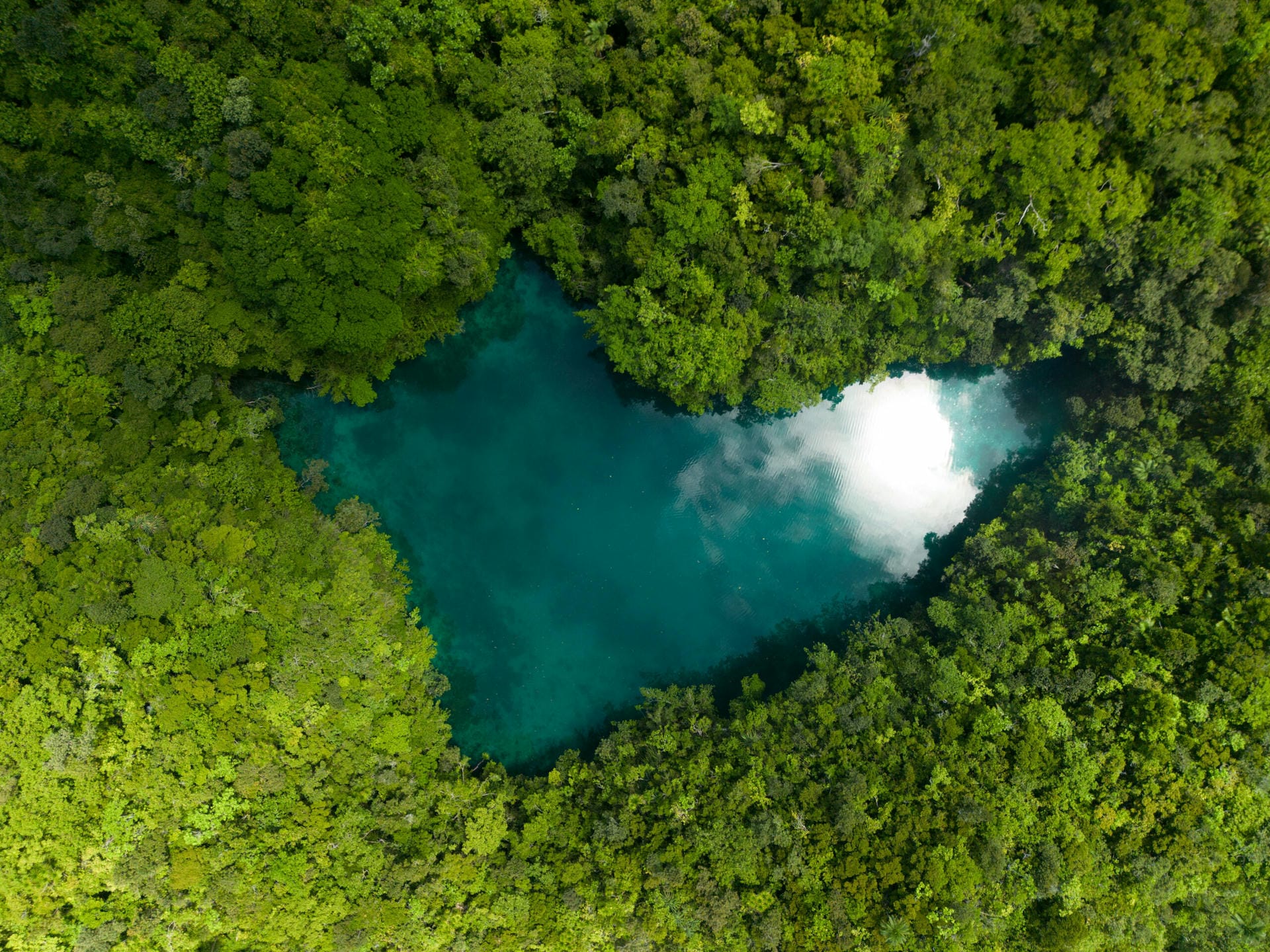 Nature - Pristine Paradise Palau
