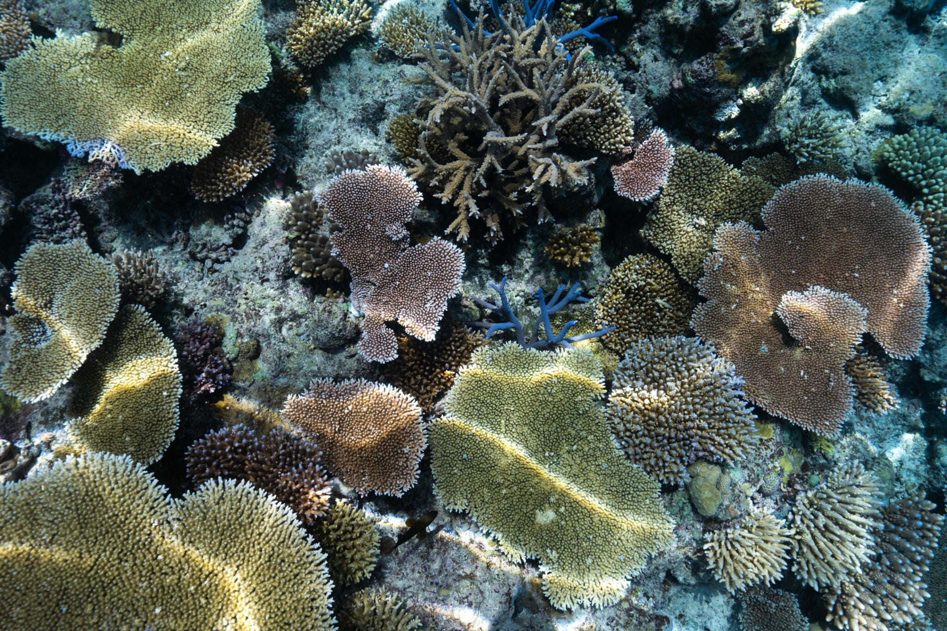 7 Days in Palau Travel Itinerary