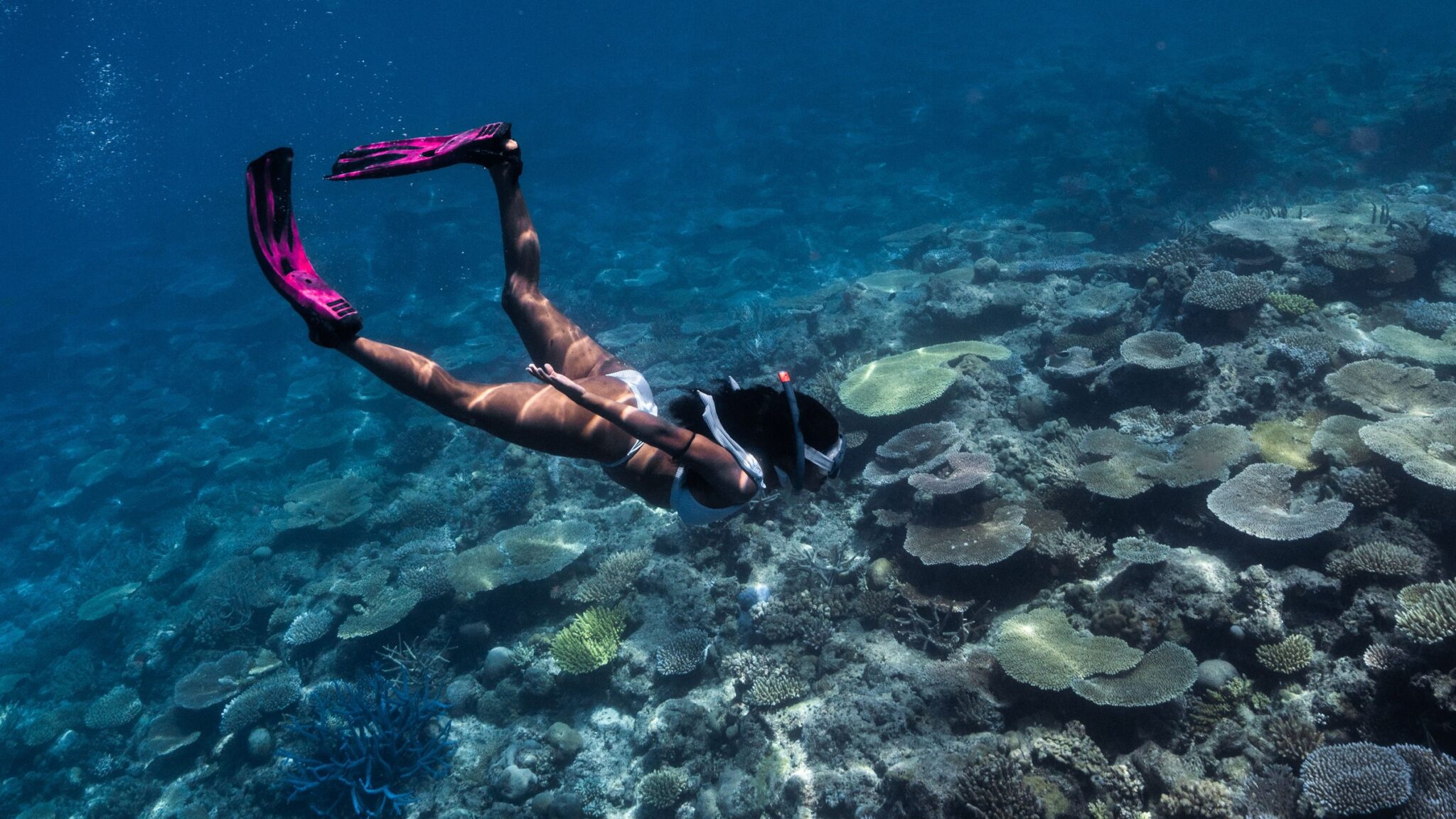 7 Days in Palau Travel Itinerary