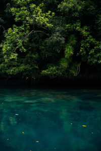 Nature - Pristine Paradise Palau