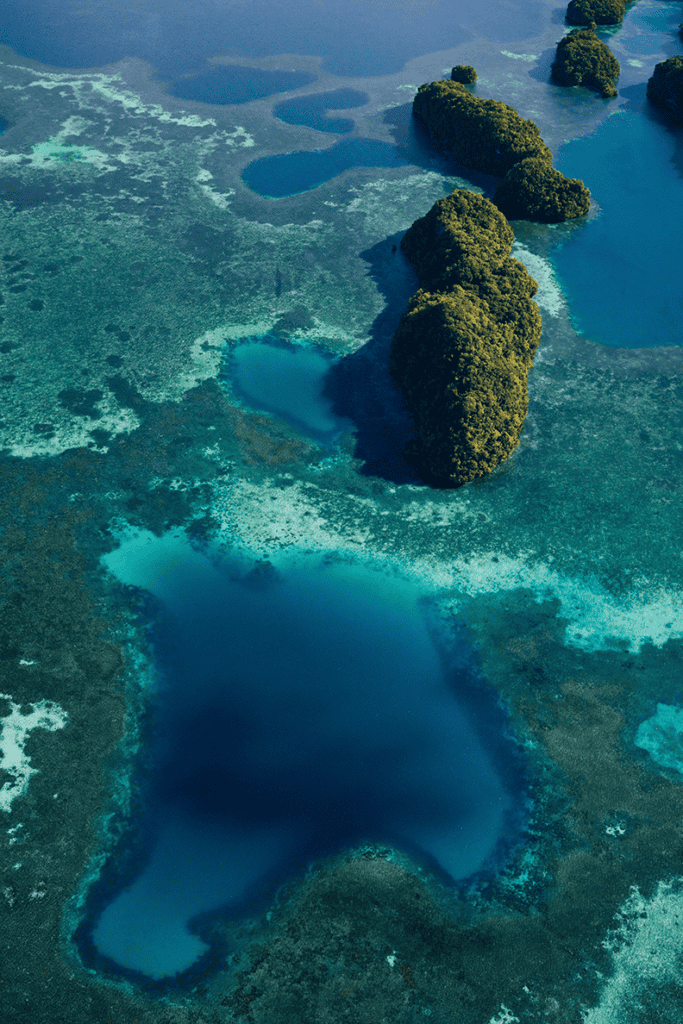 Nature - Pristine Paradise Palau