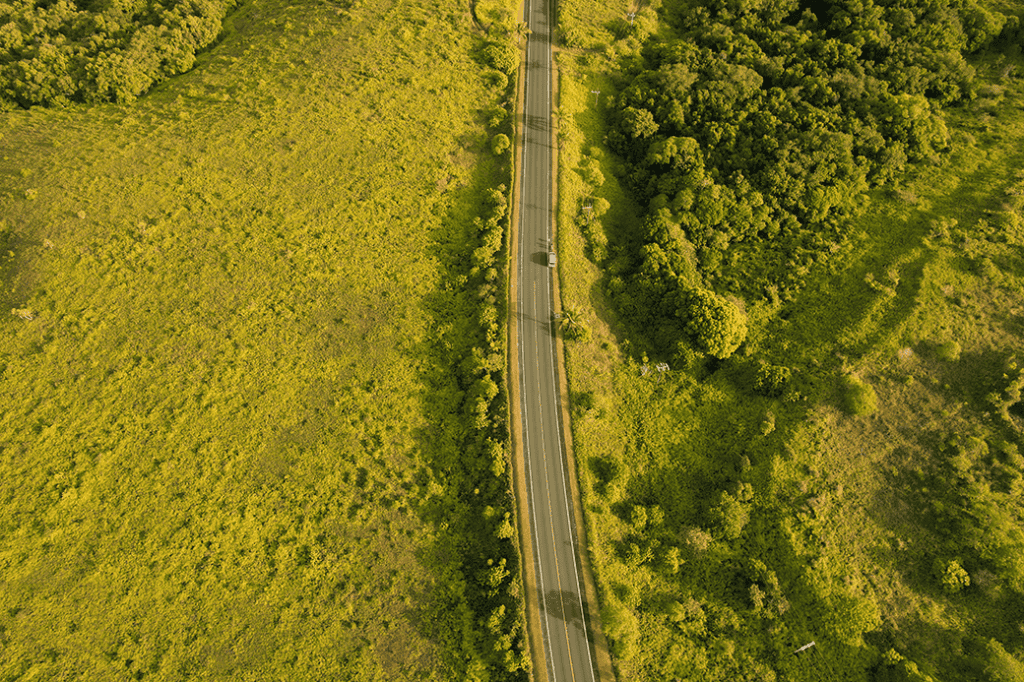 7 Days in Palau Travel Itinerary