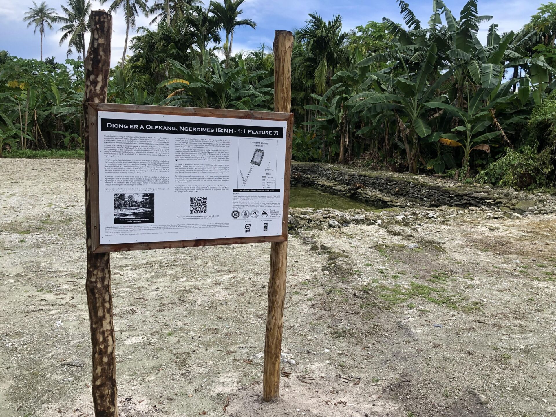 Site Rehabilitation and Conservation Project of Diong er a Olekang, a ...