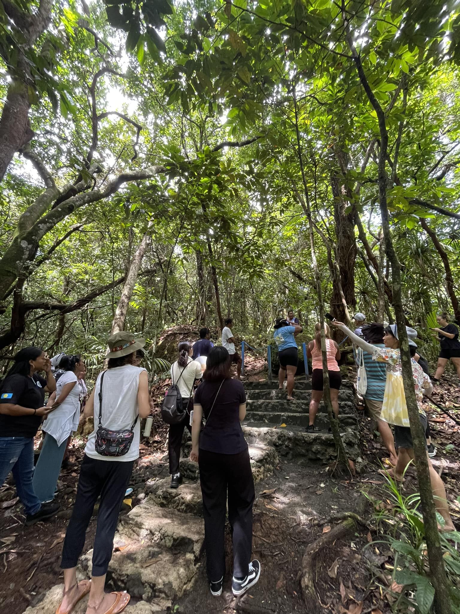 Discover Palau’s Hidden Gems: Highlights from PVA’s New Community-Based ...