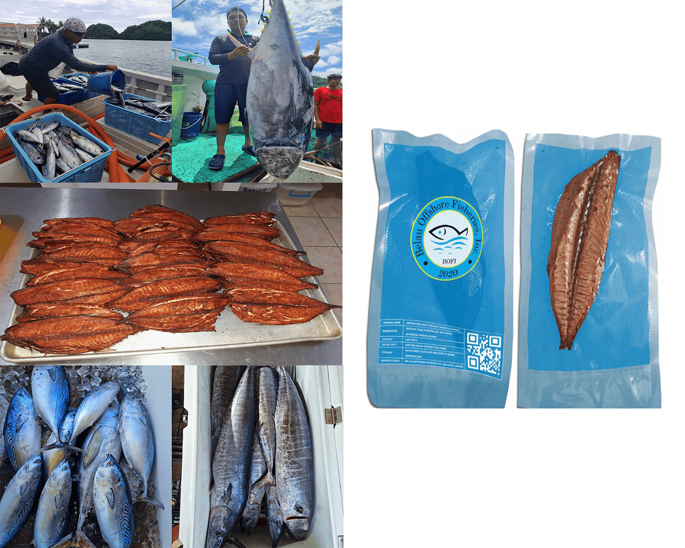 BOFI-JICA Blue Economy Project Partners with PVA