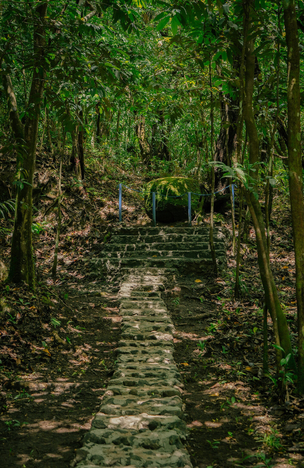 Fly Directly from Japan to Paradise: Win Roundtrip Tickets to Palau ...