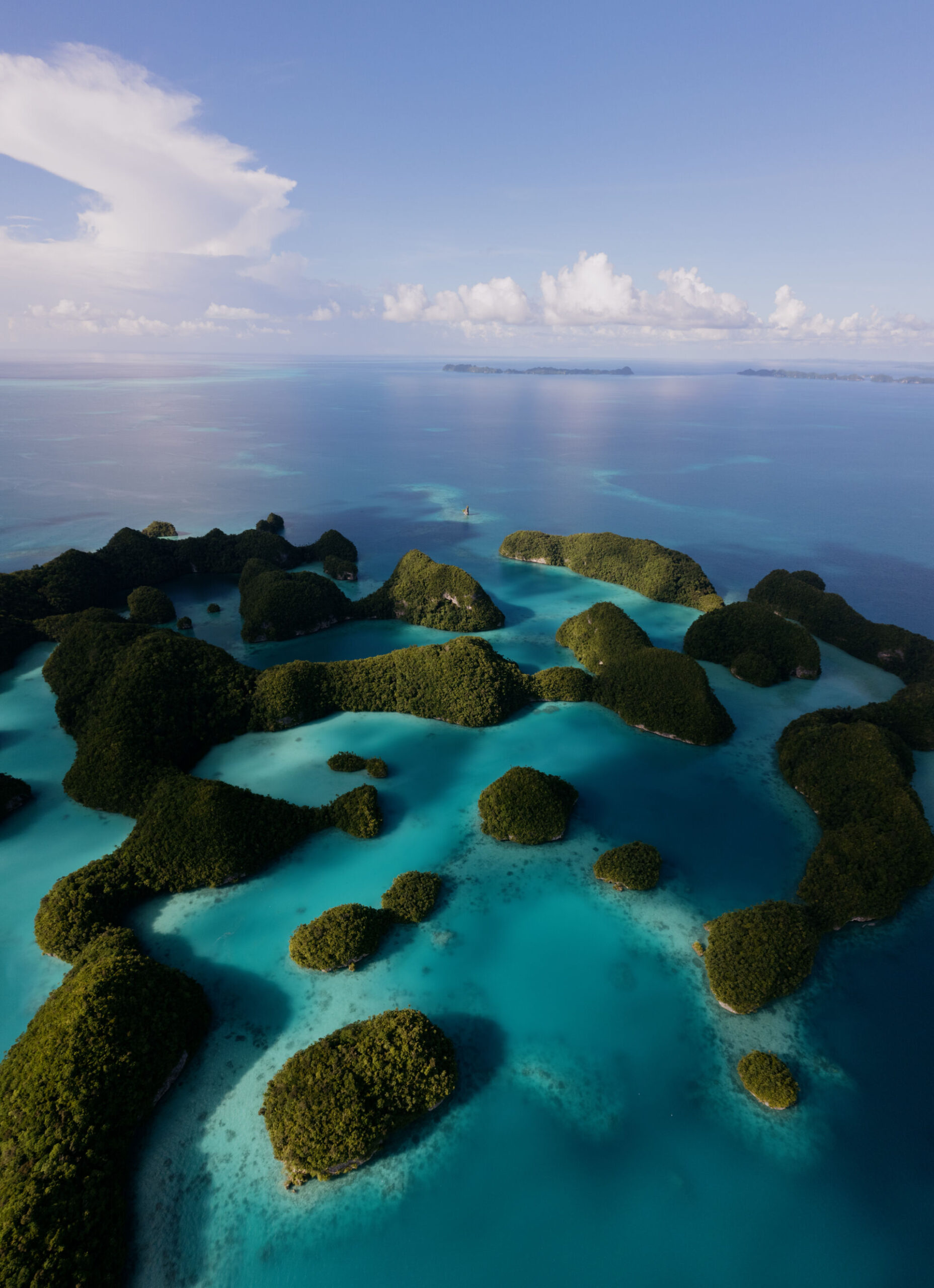 Palau Taxi Guide